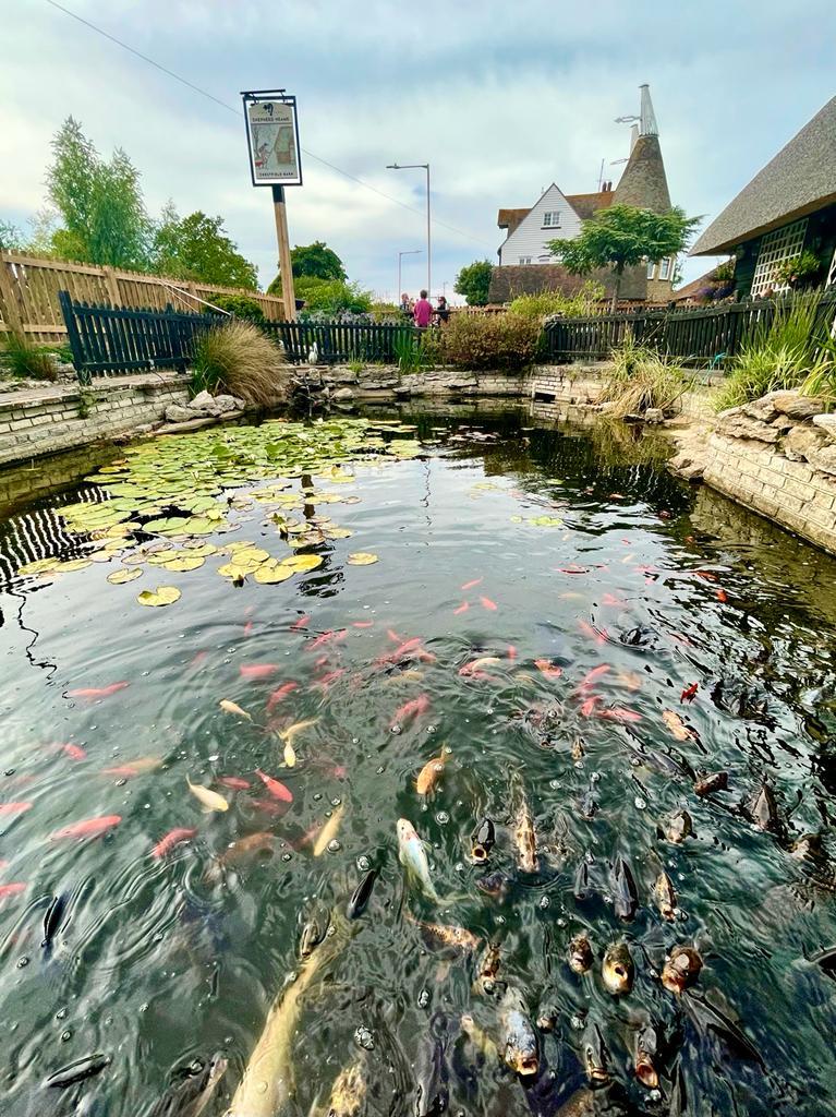 Chestfield Barn pub in Whitstable | Home
